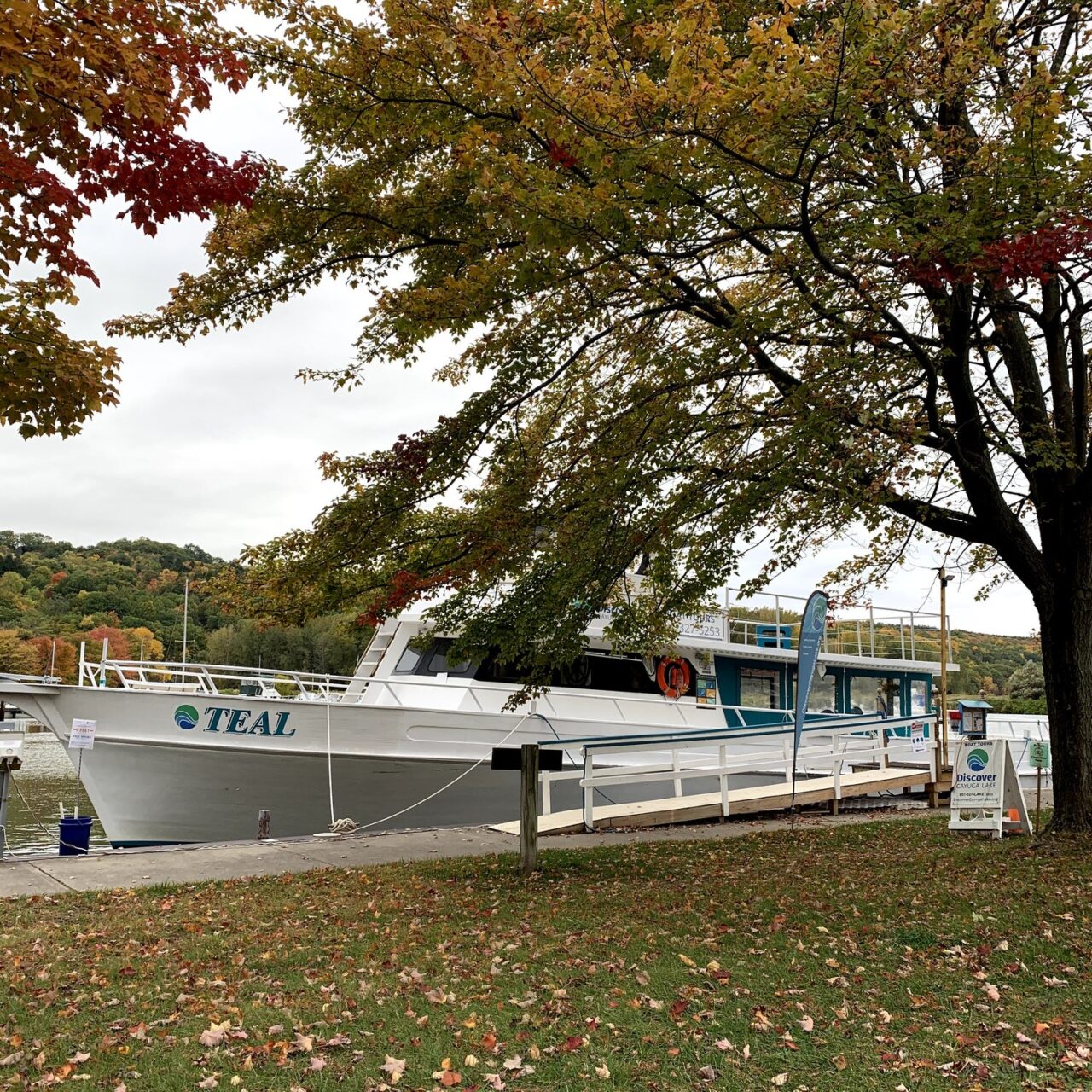 Fall Harvest in the Finger Lakes - so much goodness! - Discover Cayuga Lake
